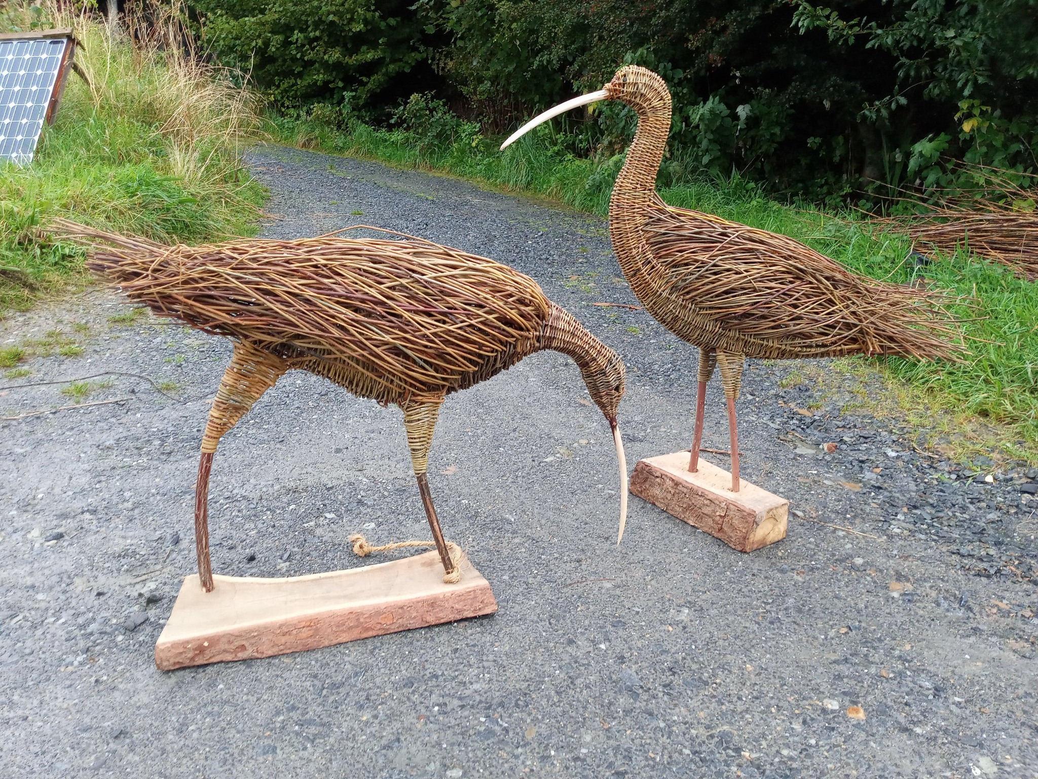 The Curlew’s Call – The Curlew's Call